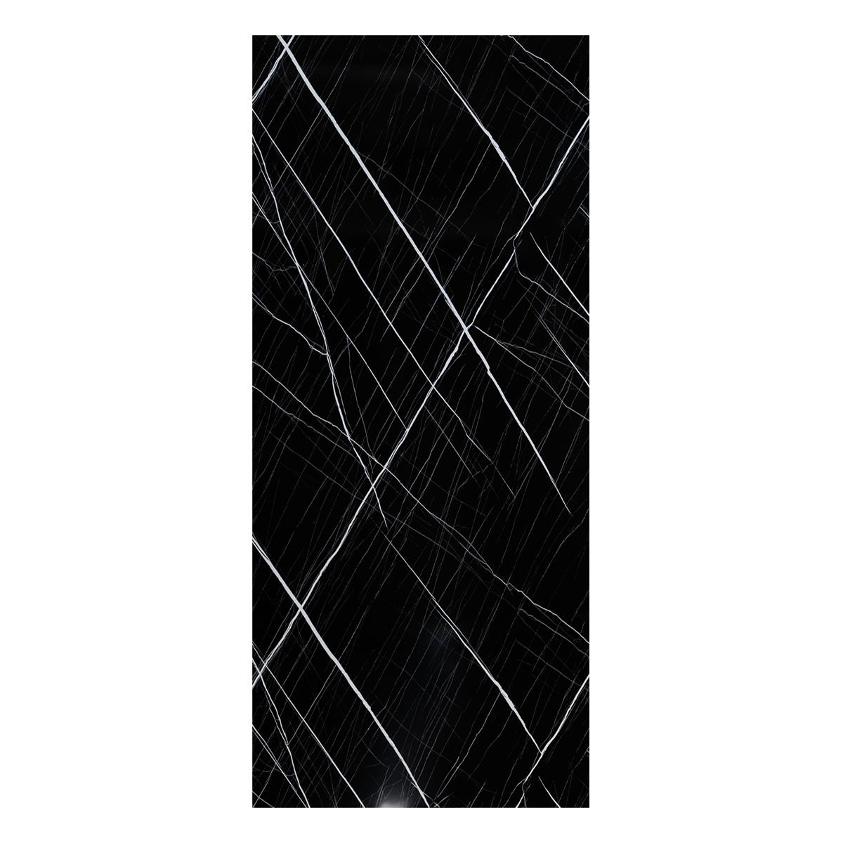 SaroTech - | México